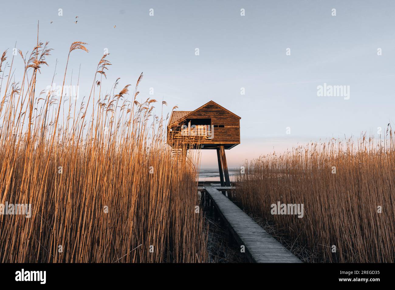 Sunrise photo of Kiekkaaste Bird Observatory in The Netherlands at ...