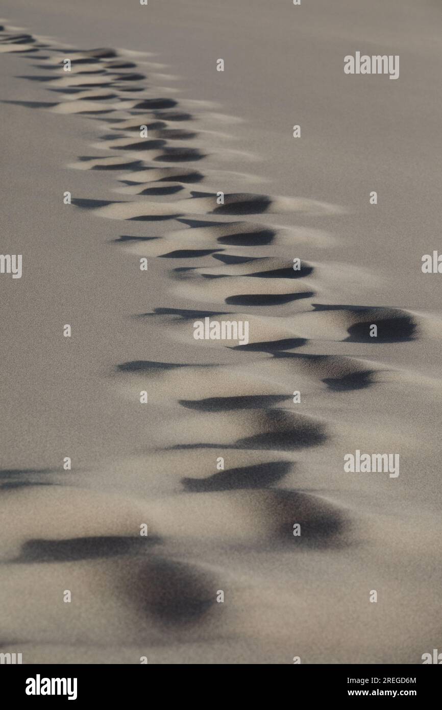 deep footprints in sands of great sand dunes national park Stock Photo ...