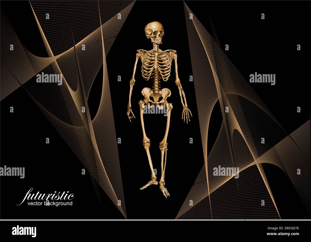 Abstract futuristic background with skeleton image. Vector 3d ...