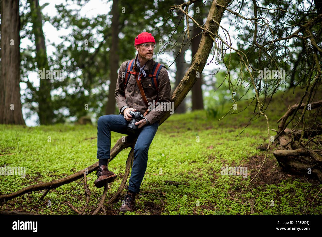 Photographer sitting on tree in wooded area Stock Photo - Alamy
