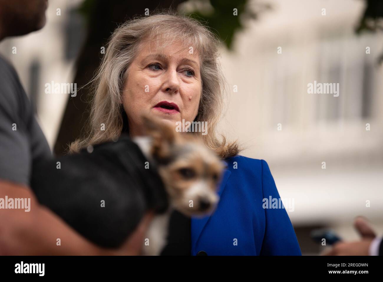 Susan Hall outside the Royal Courts of Justice, central London, after ...