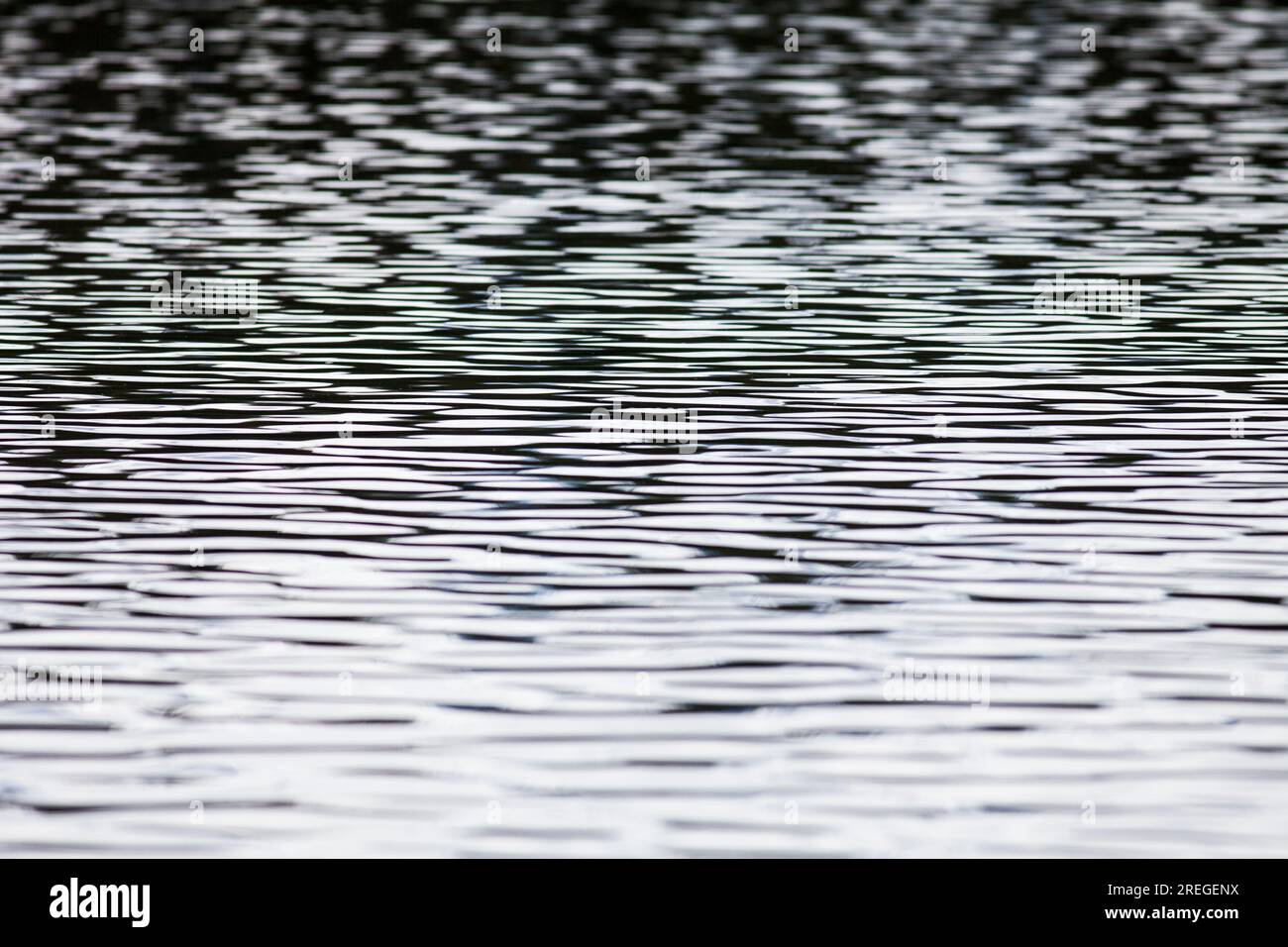 Water ripples in a mountain lake in Montana Stock Photo - Alamy