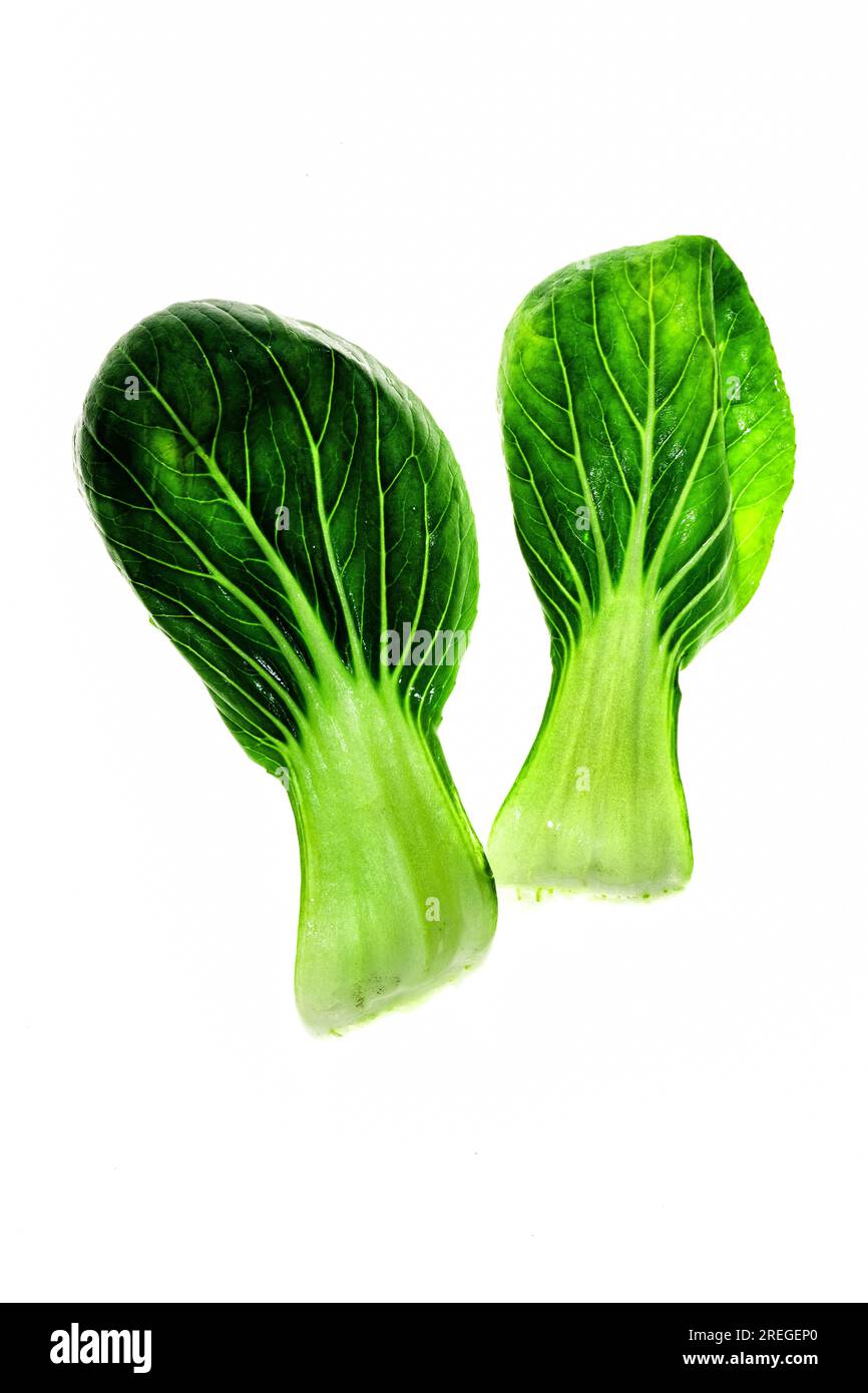 Pak choi Cut Out Stock Images & Pictures - Alamy