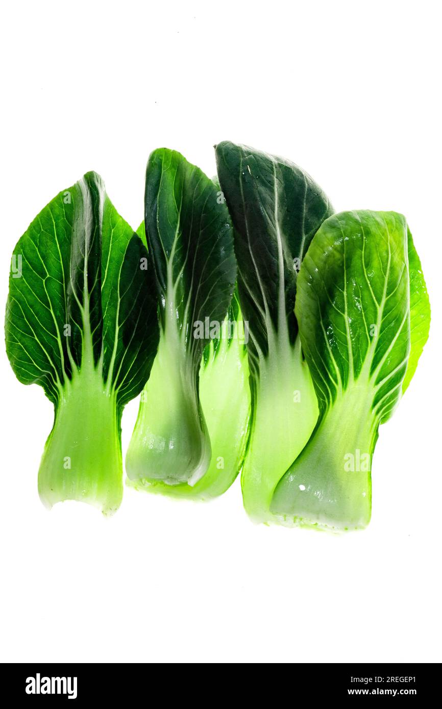 Pak choi Cut Out Stock Images & Pictures - Alamy