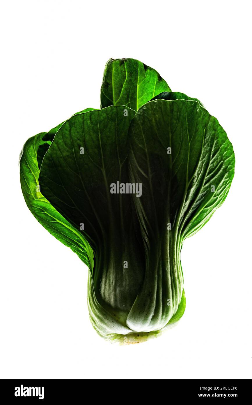 Pak choi cabbage close-up shot on white background Stock Photo - Alamy
