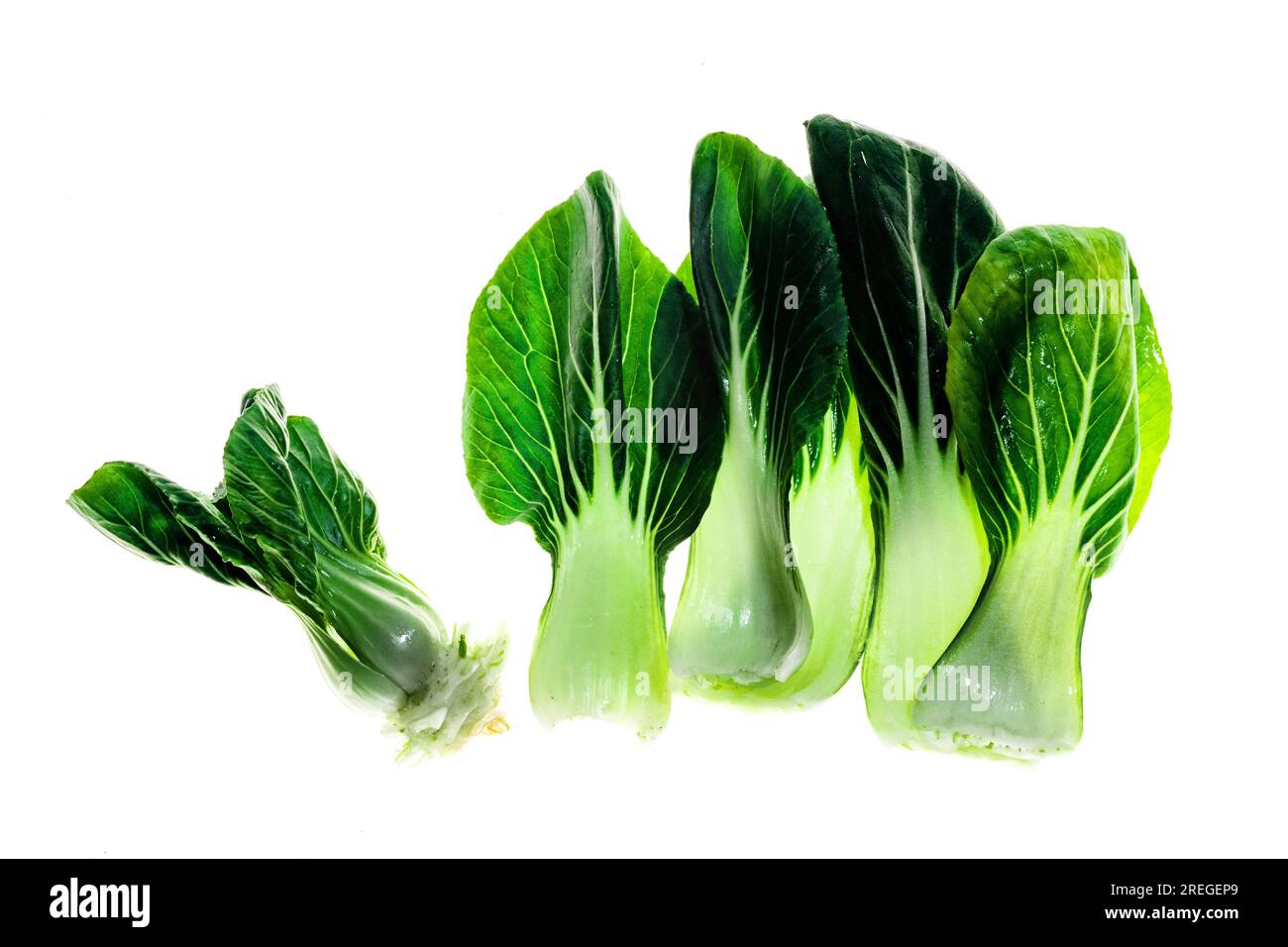 Pak choi cabbage backlit on white background Stock Photo - Alamy