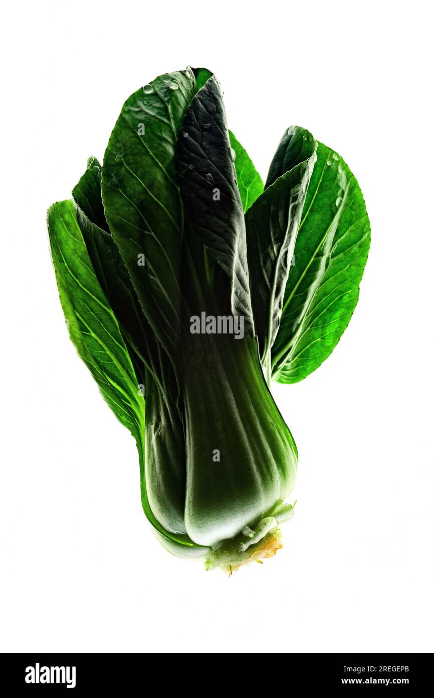 Pak choi cabbage close-up shot backlit on white background Stock Photo ...