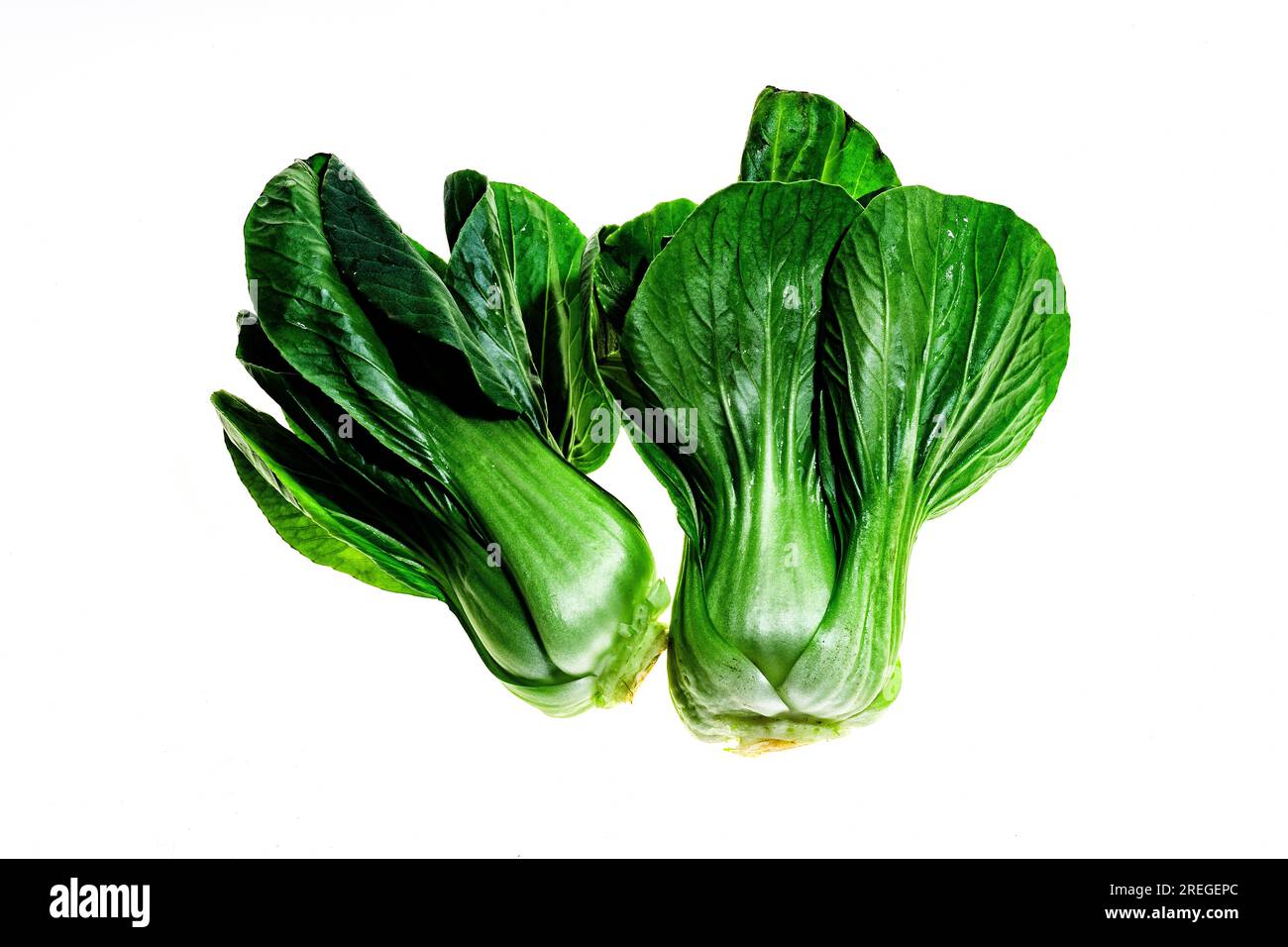 Pak choi cabbage close-up shot on white background Stock Photo - Alamy