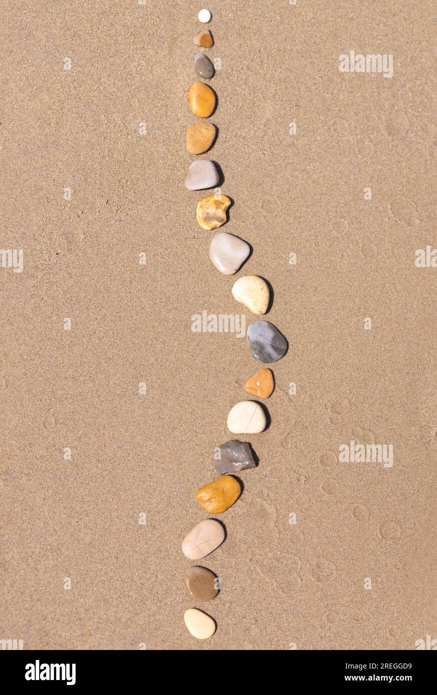 Sea stones on sand. Concept of skeleton, abnormal lateral curvature of ...
