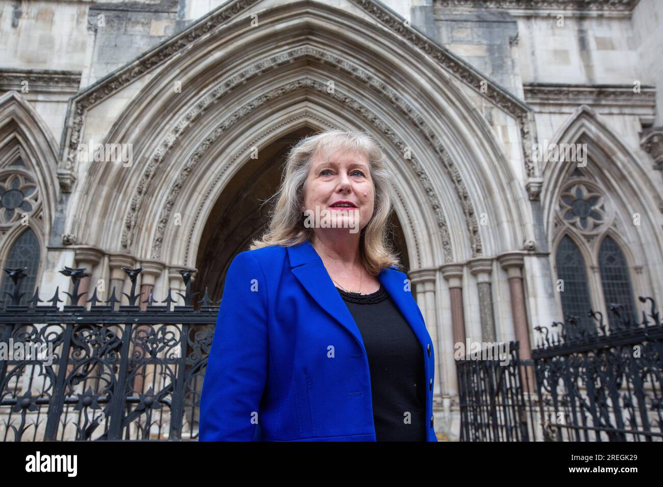 Susan hall ulez hi-res stock photography and images - Alamy