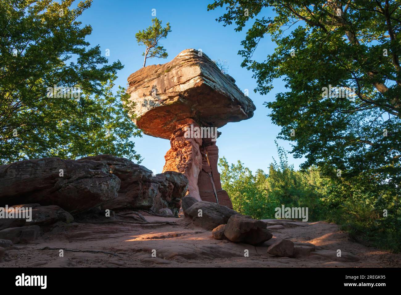 Devil's Table (germ. Teufelstisch), a mushroom rock in Hinterweidenthal ...
