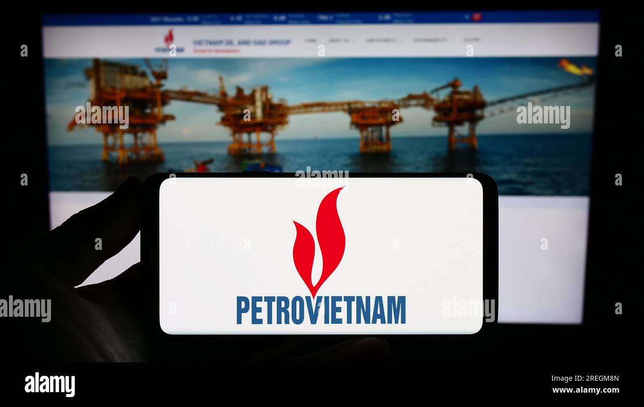 Petrovietnam Logo