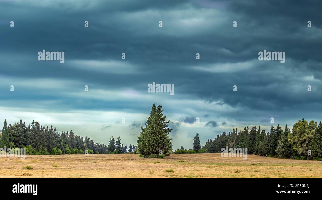 Untouched ecosystem hi-res stock photography and images - Alamy