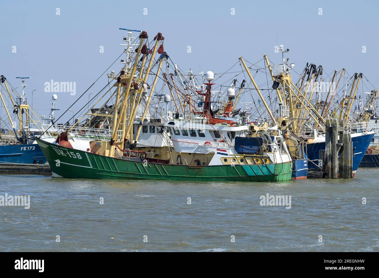 NETHERLANDS, Lauwersoog port, crab fishing boats in harbour ...