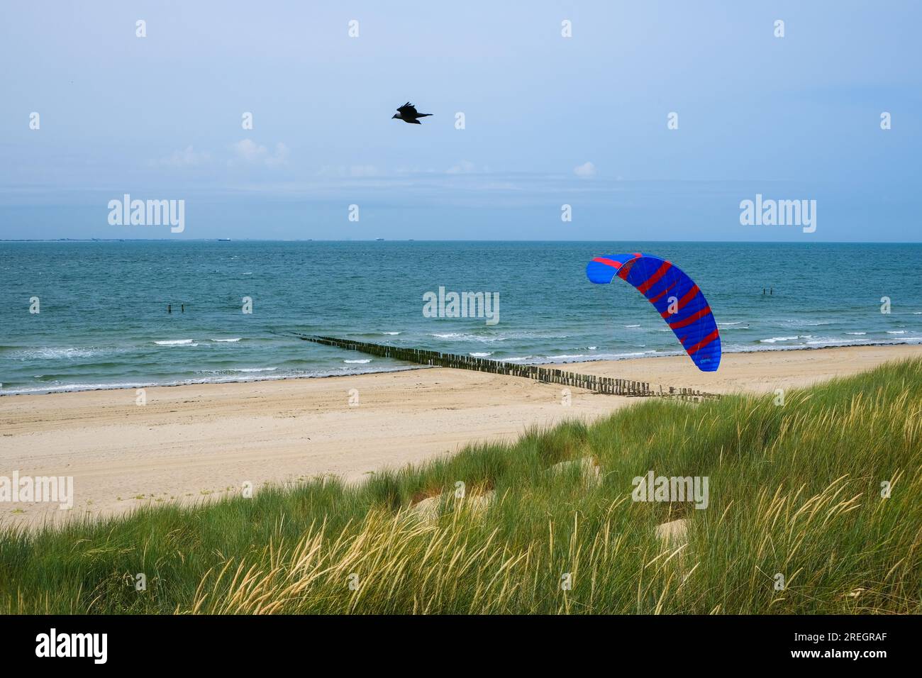 Vlissingen, Zeeland, Netherlands - sandy beach, dune landscape, North ...