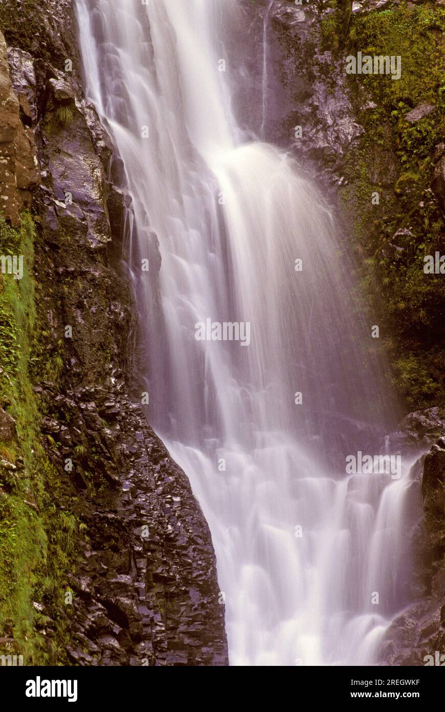 Gorgeous cascading waters of Halawa Falls in historic Halawa Valley on ...