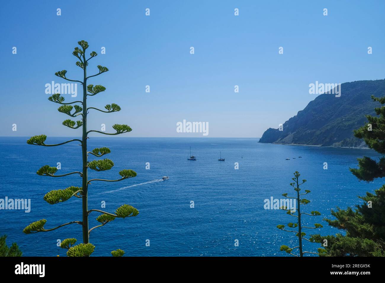 Liguria ligurian hi-res stock photography and images - Alamy