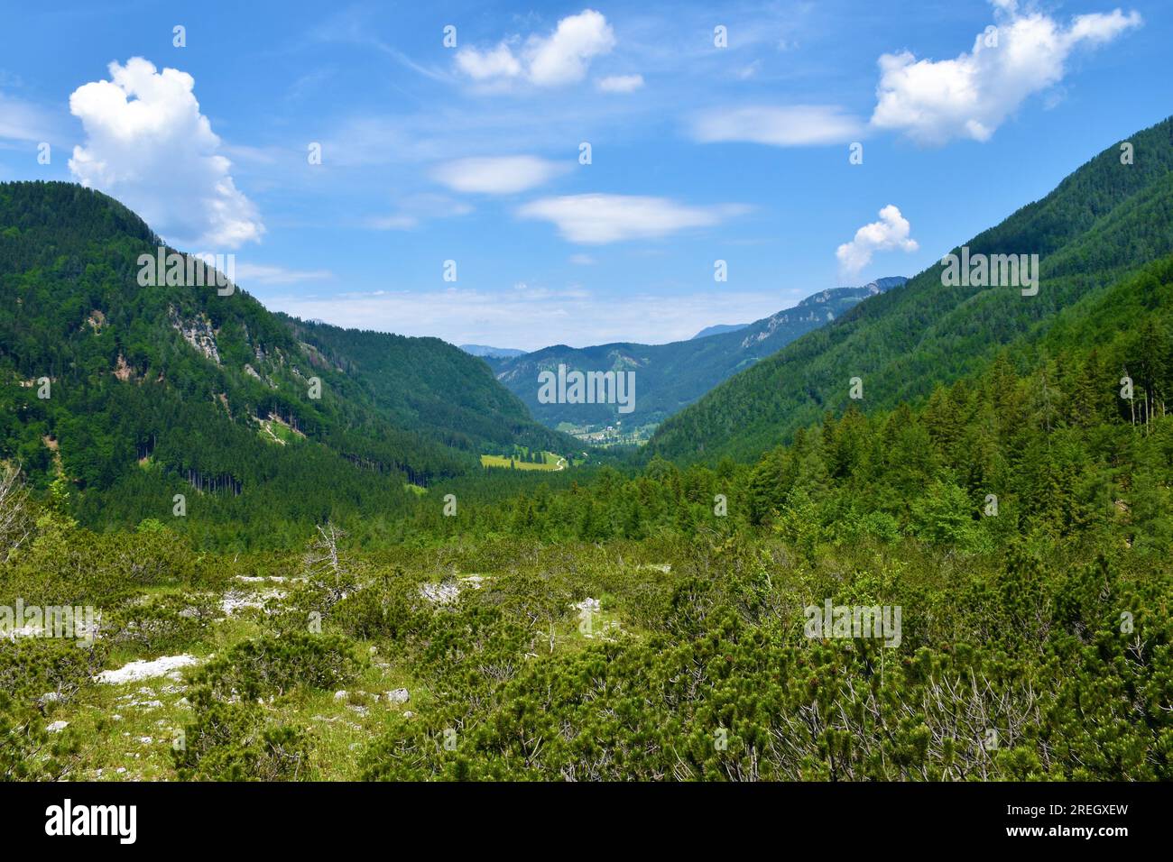 Valley of Ravenska Kocna at Jezersko in Gorenjska, Slovenia Stock Photo ...