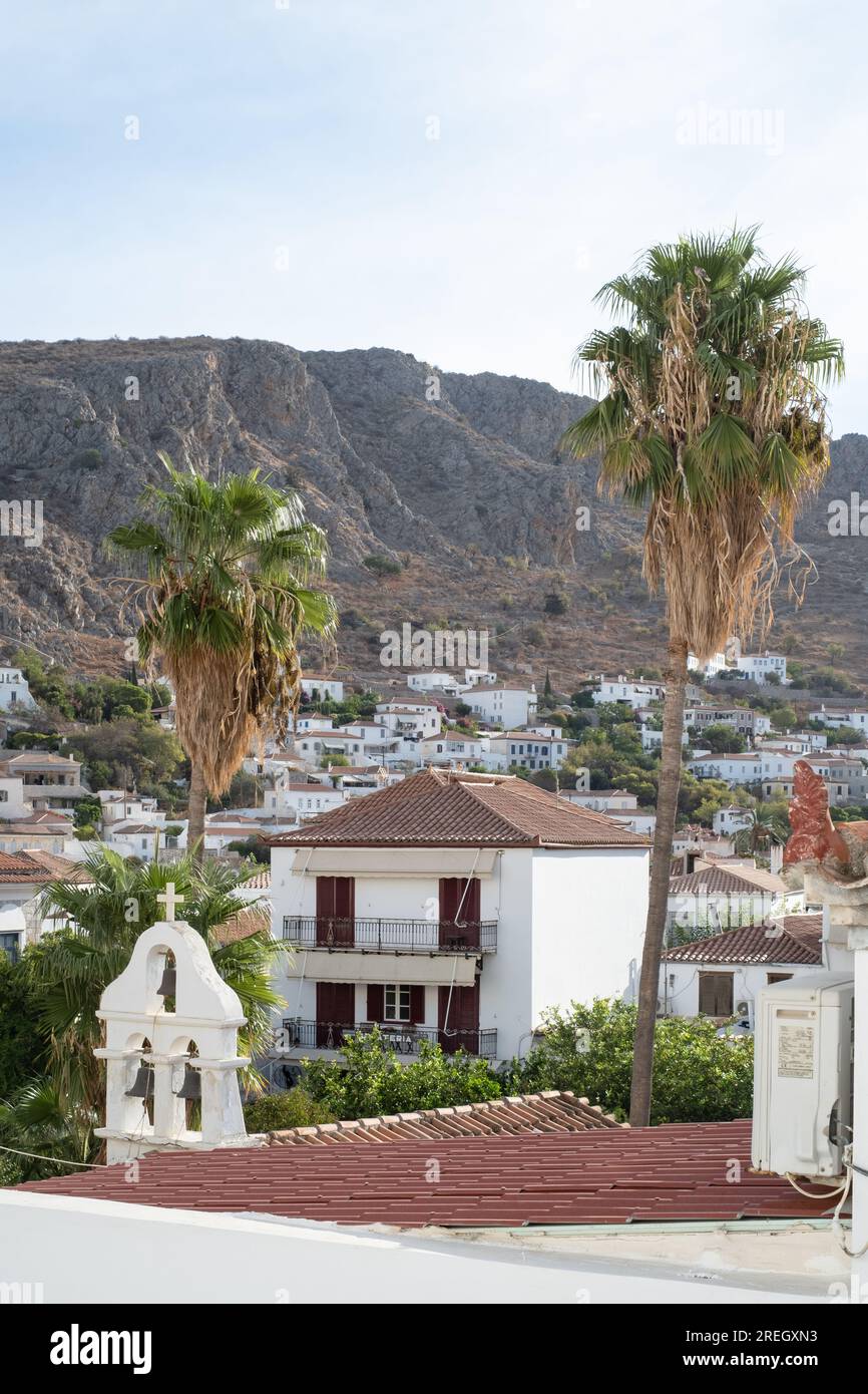 Photograph of buildings and two tall palm trees with mountains behind ...
