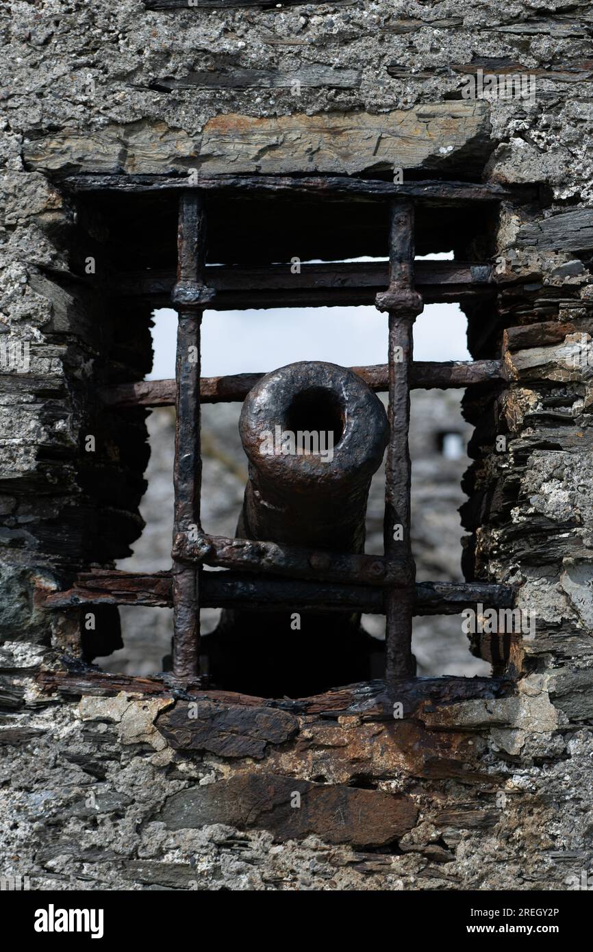 The old canons of Derby Fort on St Michael's Isle off the Isle of Man ...