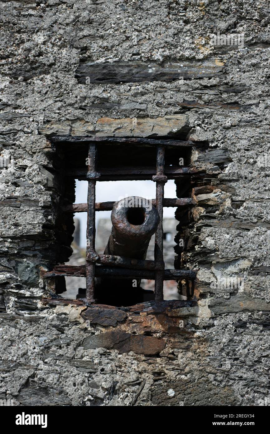 The old canons of Derby Fort on St Michael's Isle off the Isle of Man ...