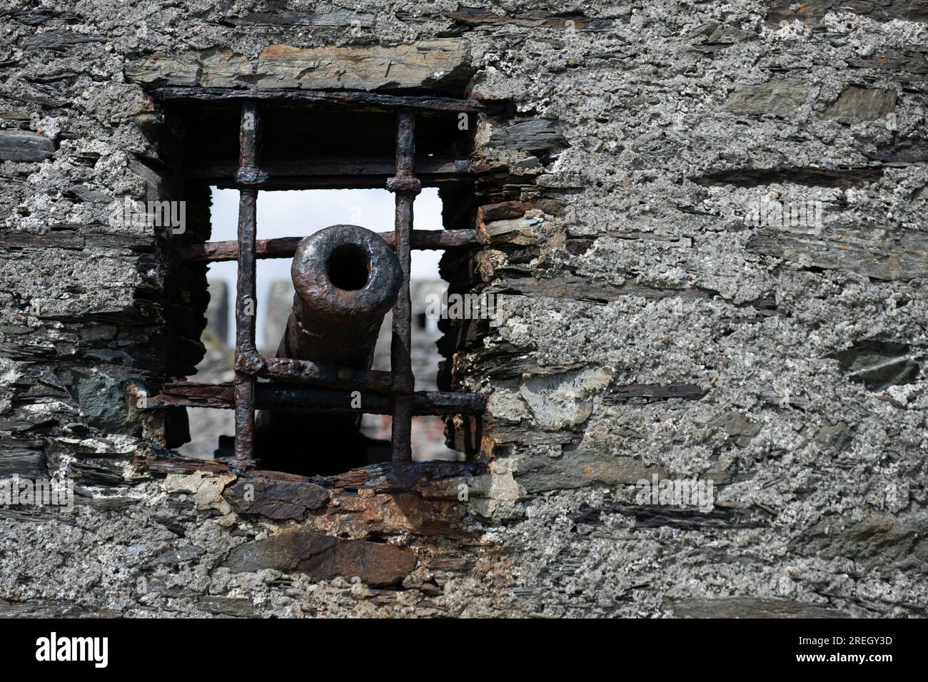 The old canons of Derby Fort on St Michael's Isle off the Isle of Man ...