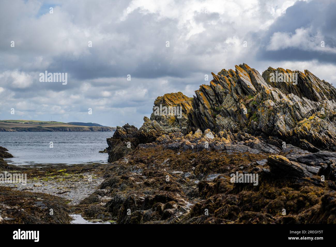 The sharp jagged limestone rocks around the rugged seaside of the Isle ...