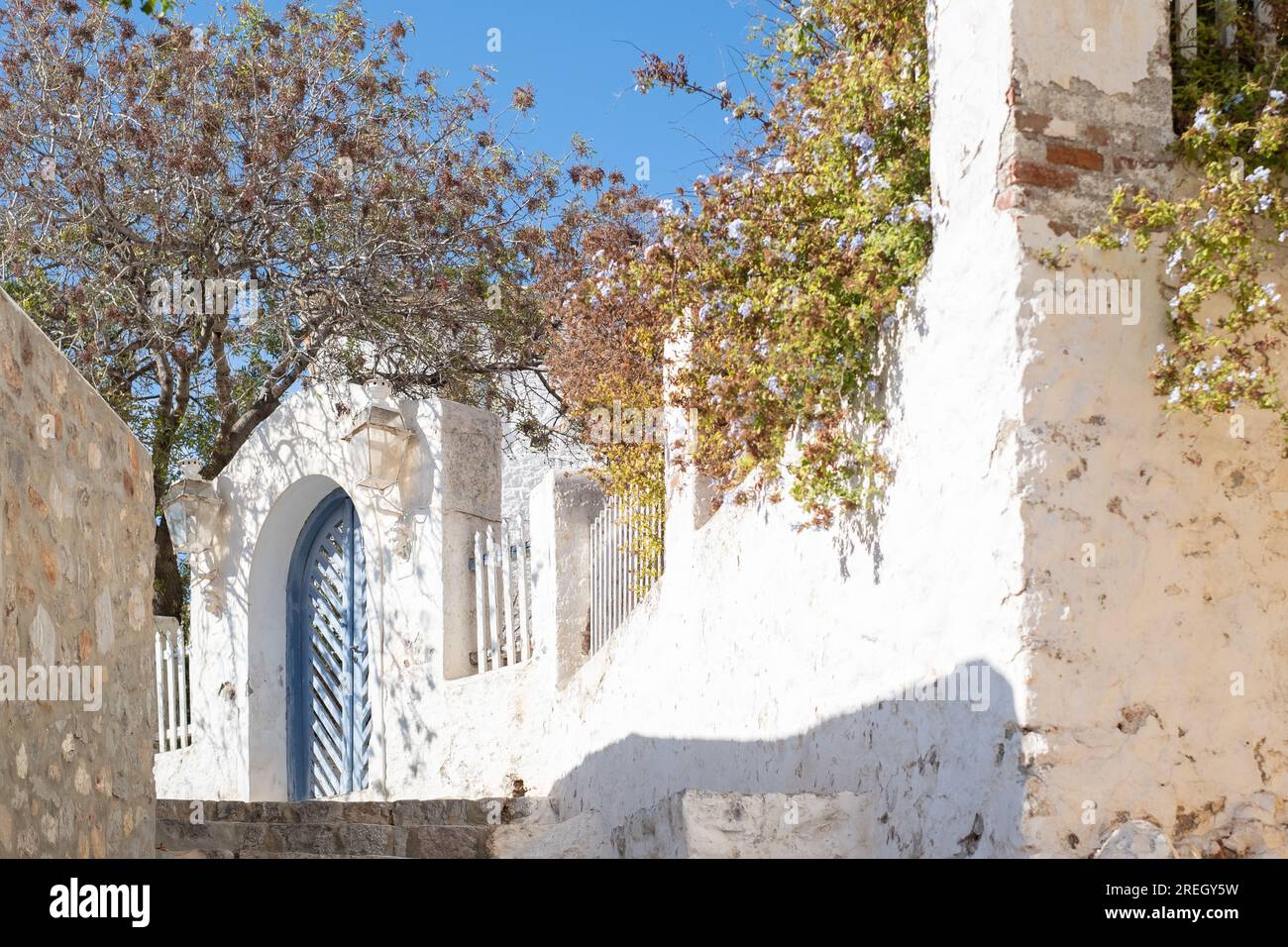 Looking up at trees and a whitewashed wall with a blue gate Hydra ...