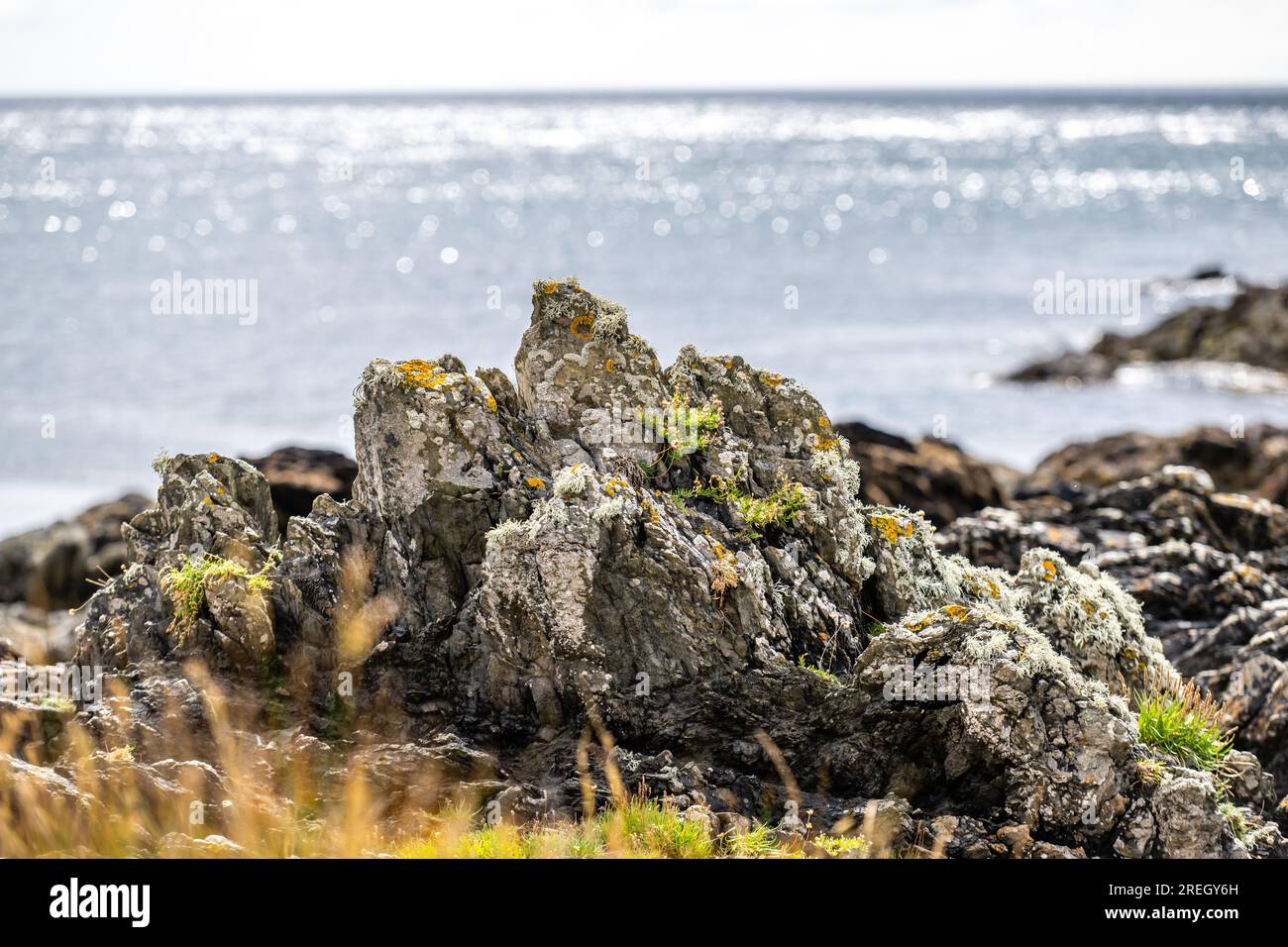 Metasedimentary rocks hi-res stock photography and images - Alamy