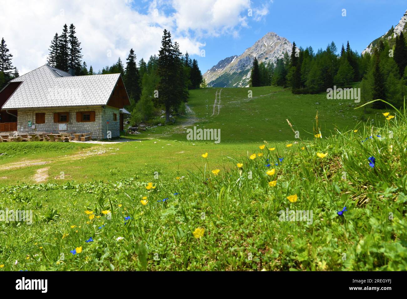 Mountain hut at Zelenica in Karavanke mountains with the peak of Vrtača ...