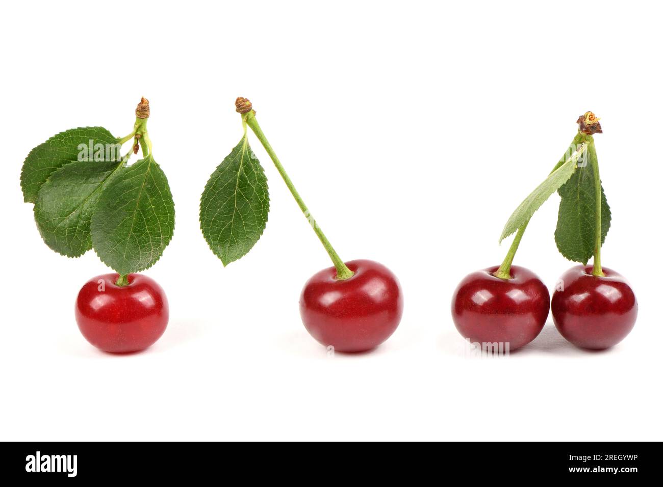 Collection of cherries with green leaf isolated on white background ...