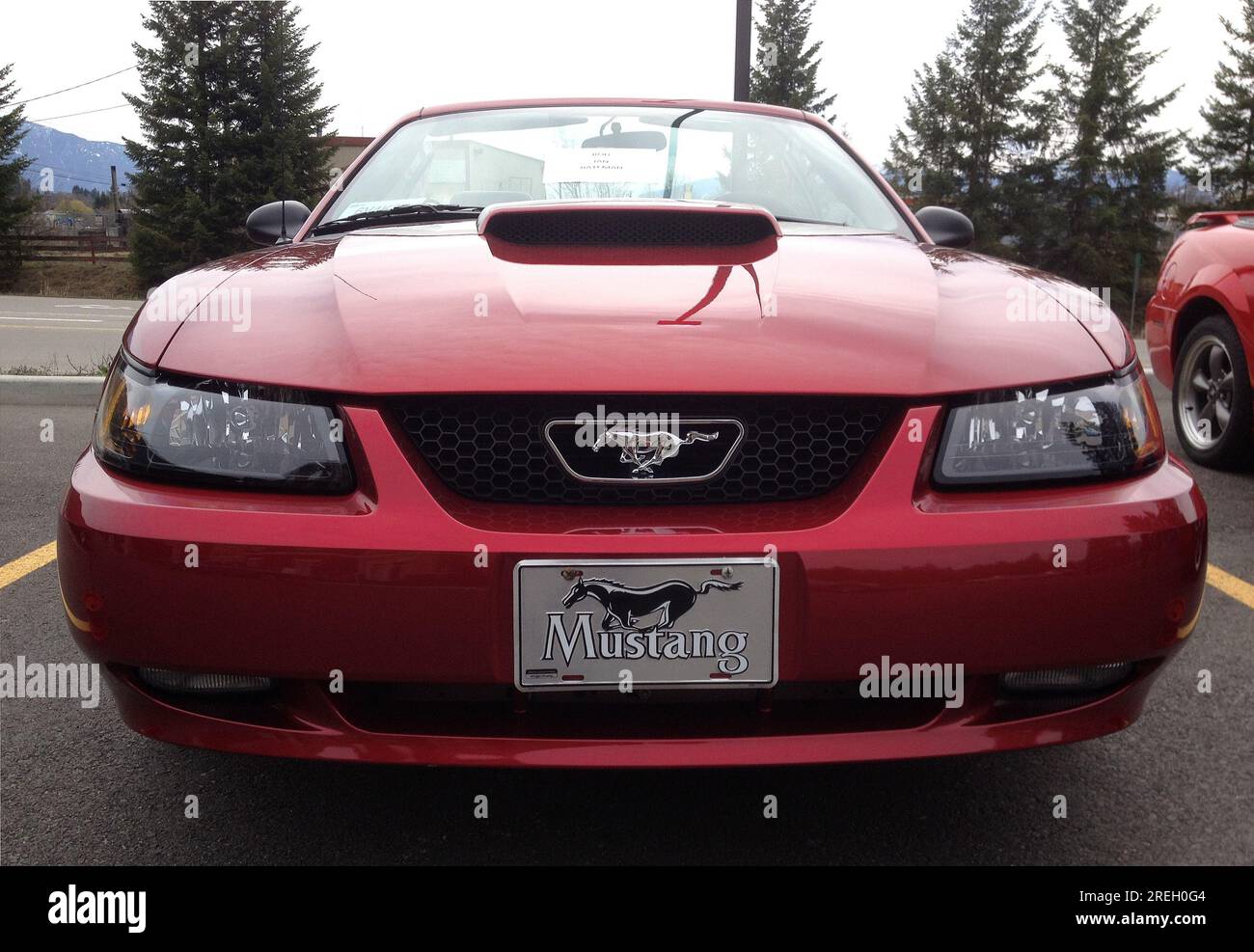 Creston,BC, Canada - April 19 2014 Ford Mustang show at the 50th ...