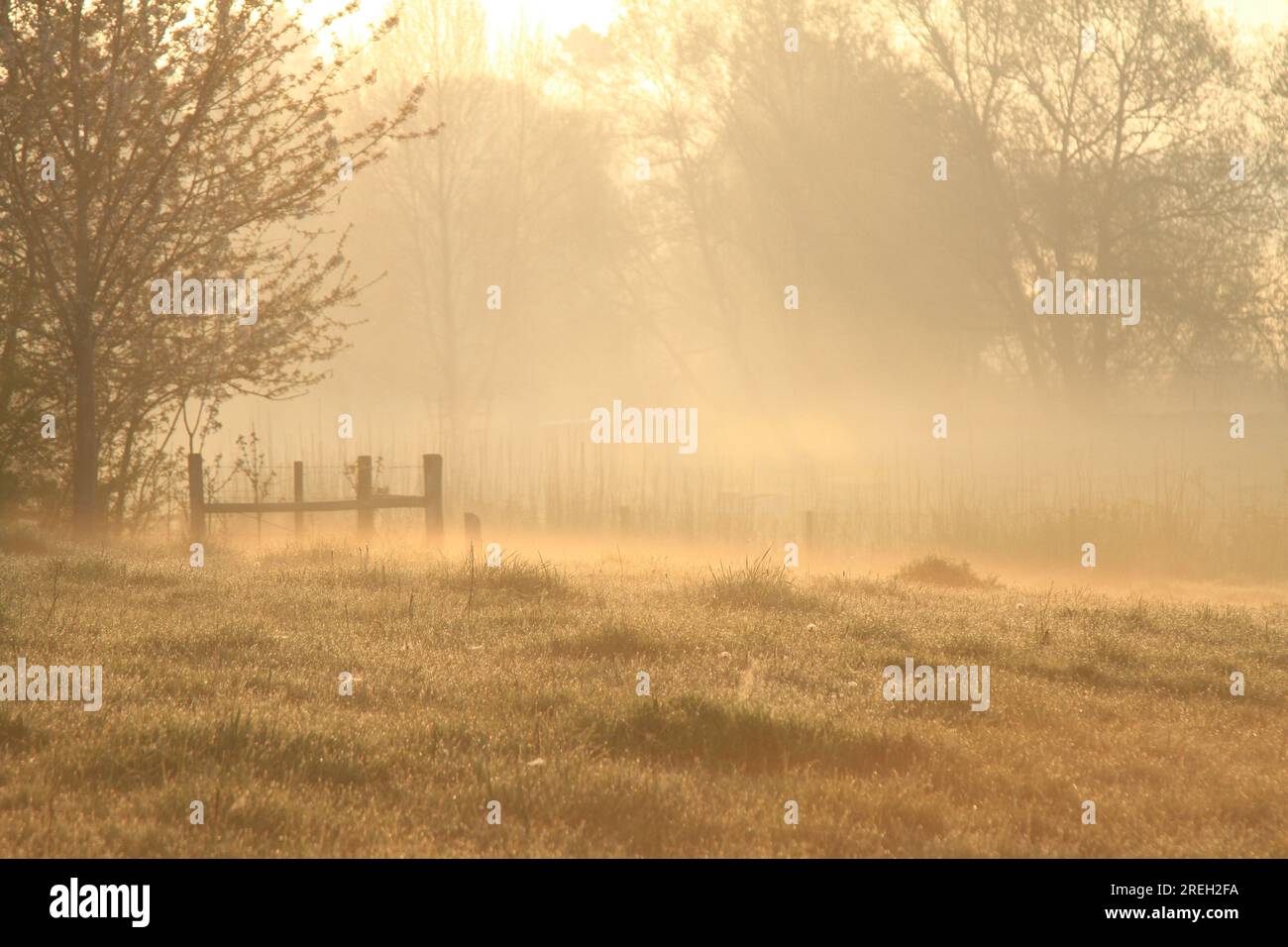 Global boiling hi-res stock photography and images - Alamy