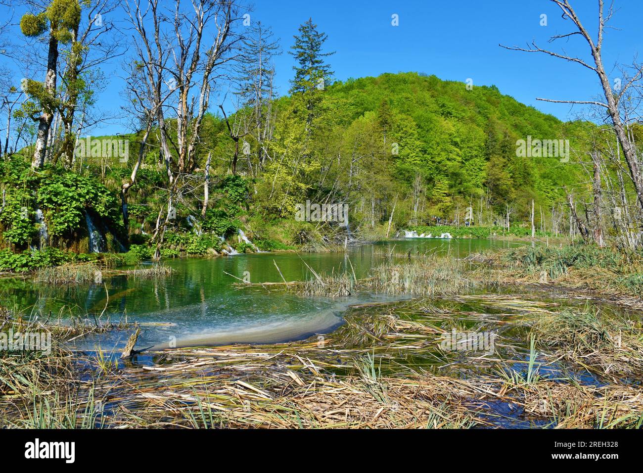 Lake with a forest covered hill above at Plitvice lakes national park ...