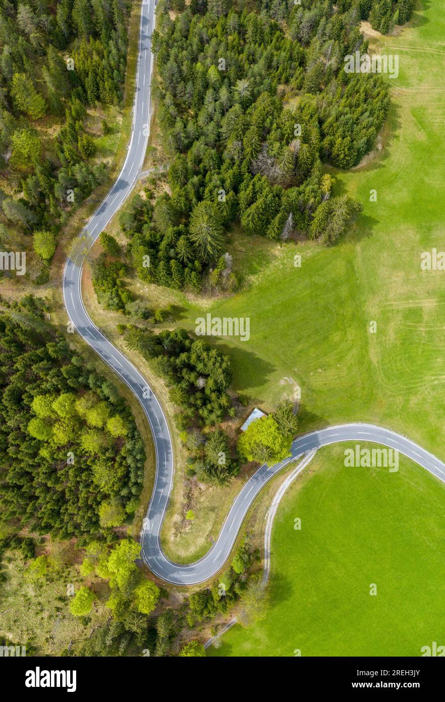 bird's eye view of a winding pass road in the summer forest in the alps ...