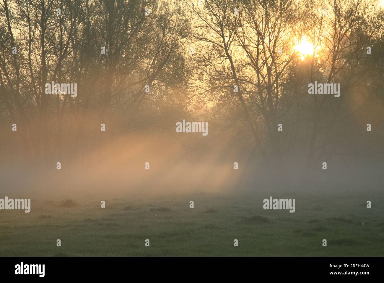 Global boiling hi-res stock photography and images - Alamy
