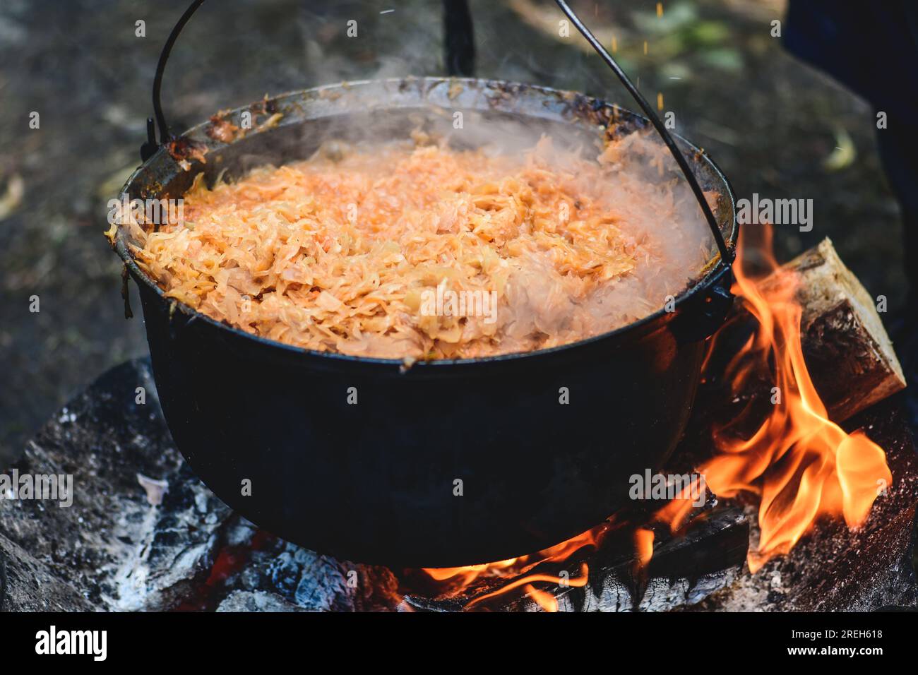 Cabbage soup or stew cooking in a big pot on the open fire with flames ...