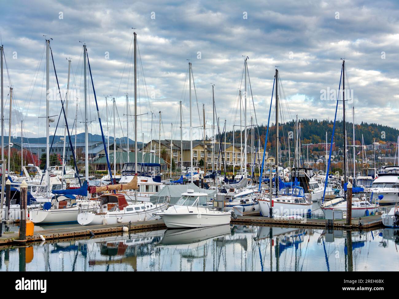 Sailing boats yachts at mooring pier on Pacific ocean Stock Photo - Alamy