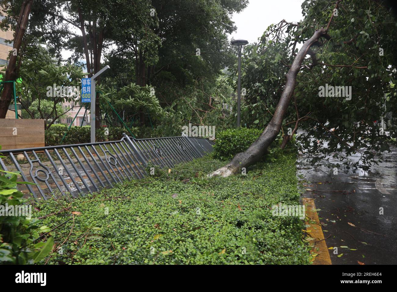 Xiamen, China's Fujian Province. 28th July, 2023. Trees overturned by ...