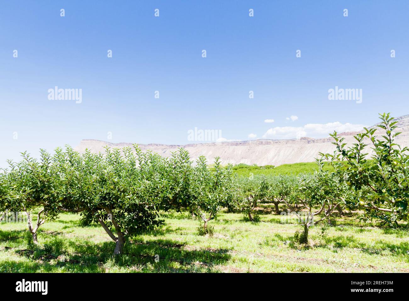 Crescent orchard hi-res stock photography and images - Alamy