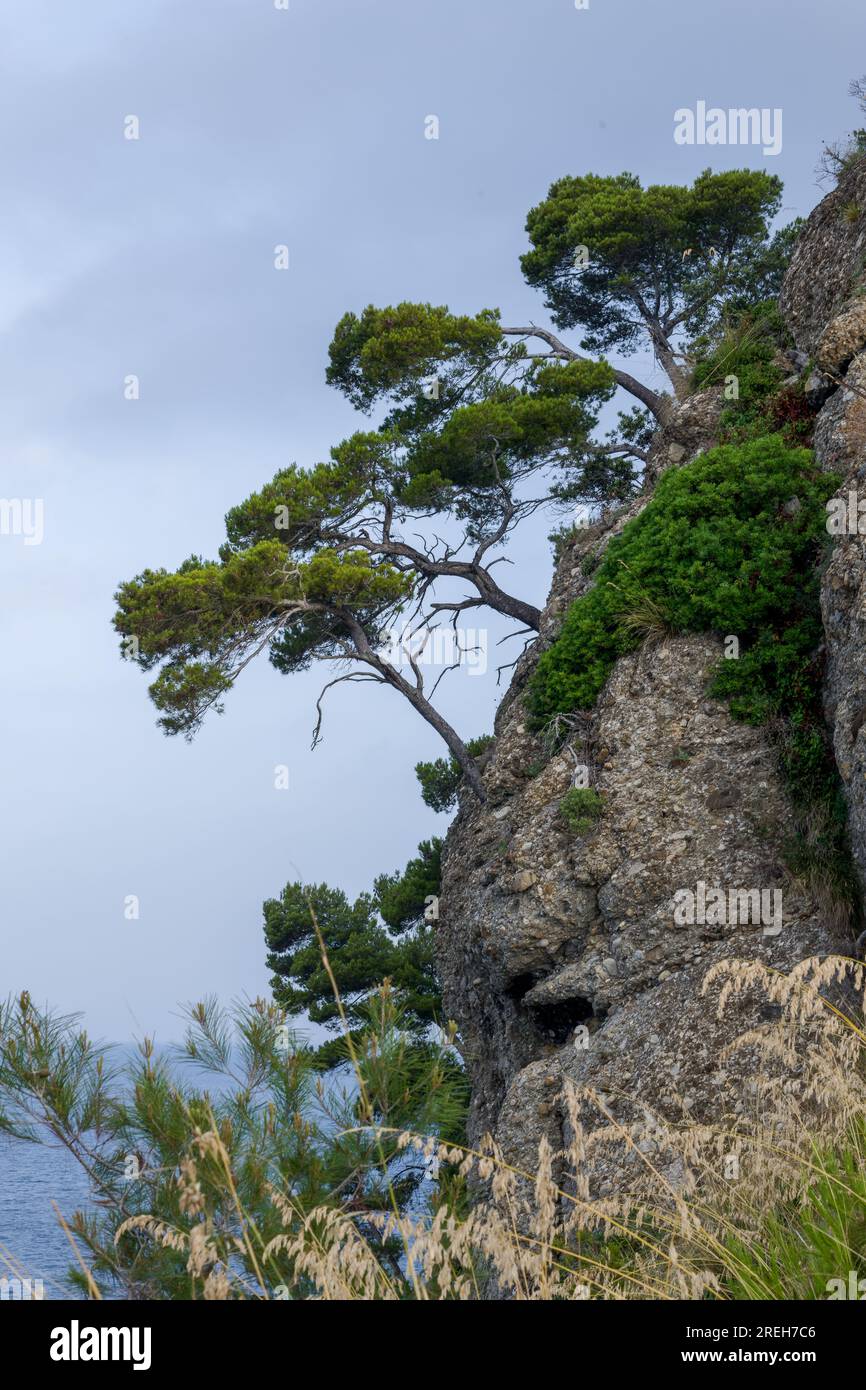 Faro scenic nature hi-res stock photography and images - Alamy