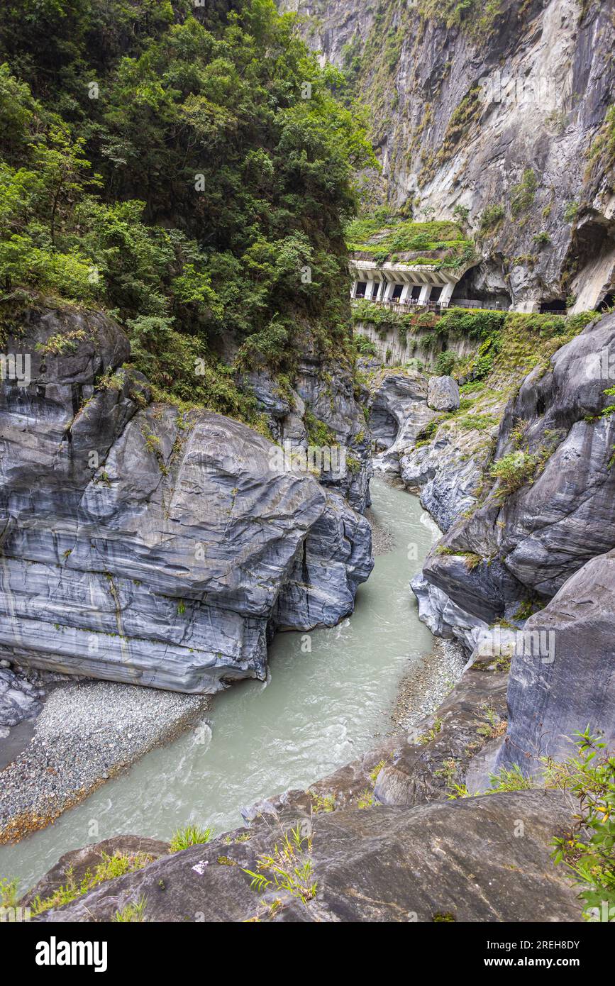 The Nine Turns Trail in Taiwan is a mesmerizing symphony of nature ...