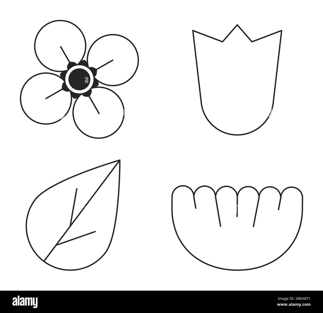 Motif floral botanical flat monochrome isolated vector objects set ...