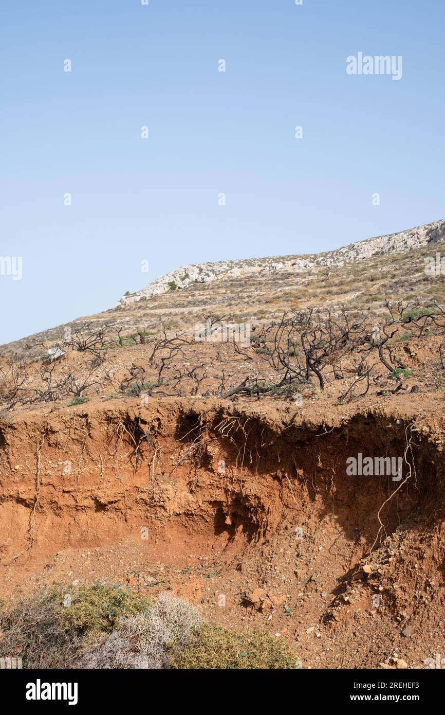 Photograph of a hillside with red soil that has fallen away to expose ...