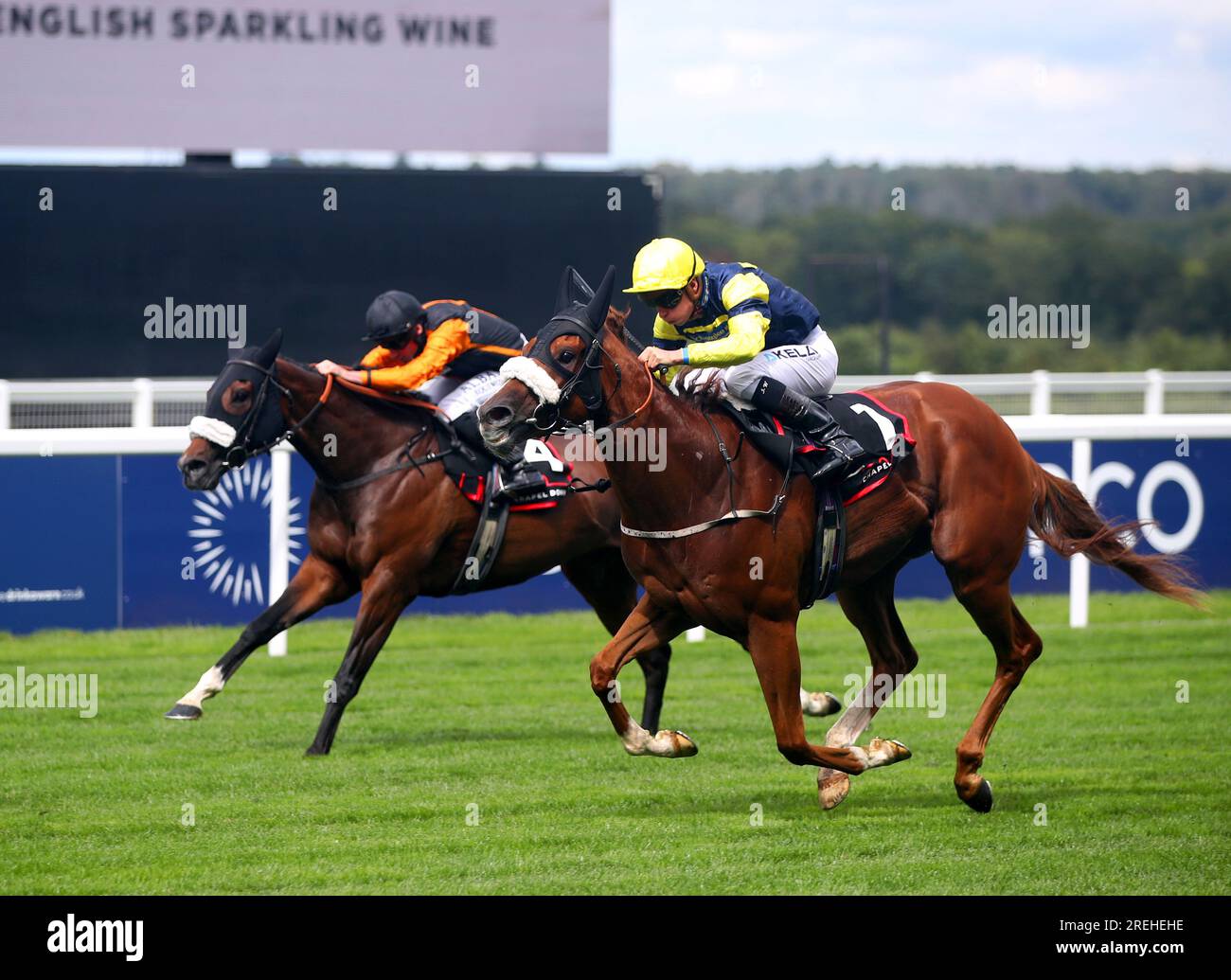 Pearle dor ascot hi-res stock photography and images - Alamy