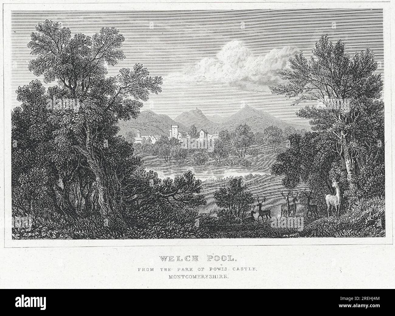 Welch pool hi-res stock photography and images - Alamy