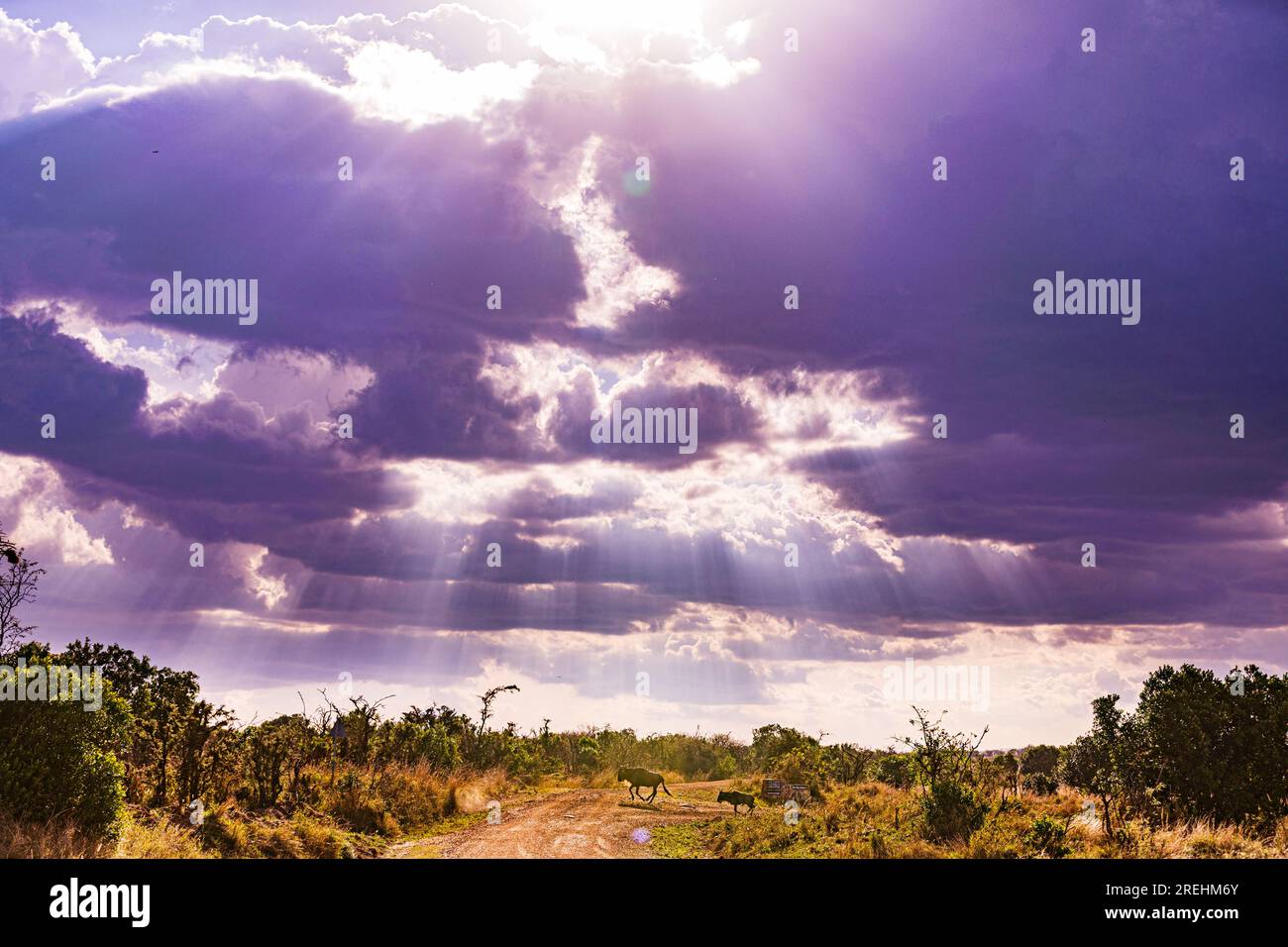 Maasai Mara National Reserve is an area of preserved savannah ...