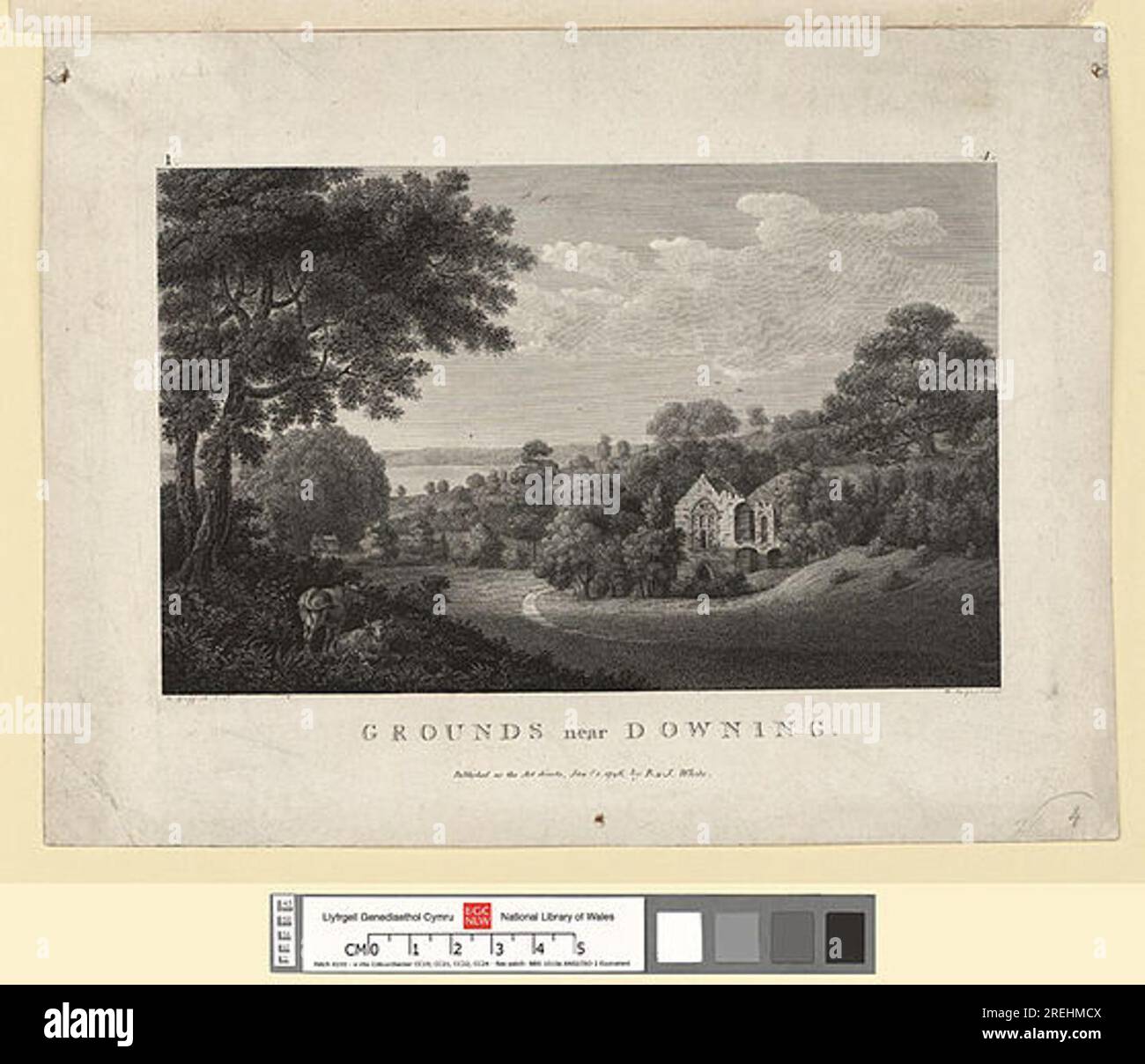 William angus engraving hi-res stock photography and images - Alamy