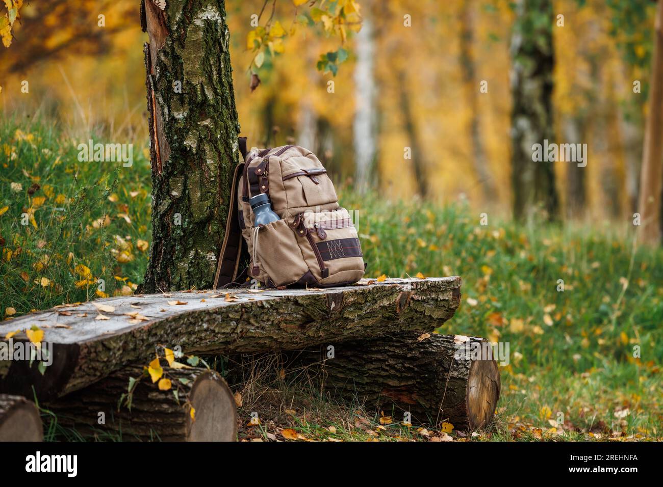 Wooden log bench hi-res stock photography and images - Alamy