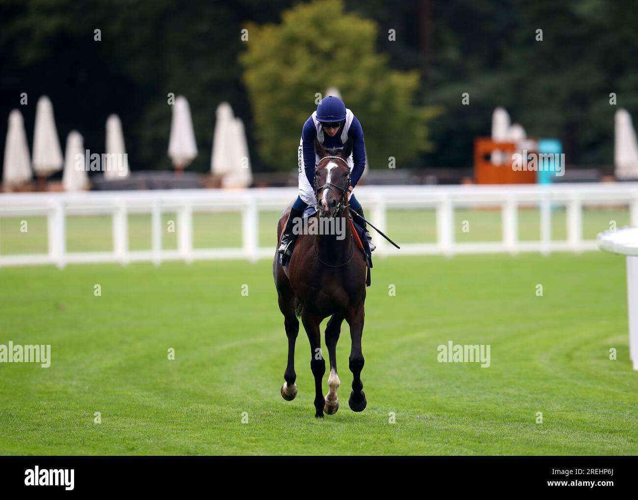 Alhambra Palace ridden by jockey David Probert after winning the ...
